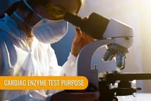 Cardiac Enzyme Test: Understanding Its Purpose & Normal Range