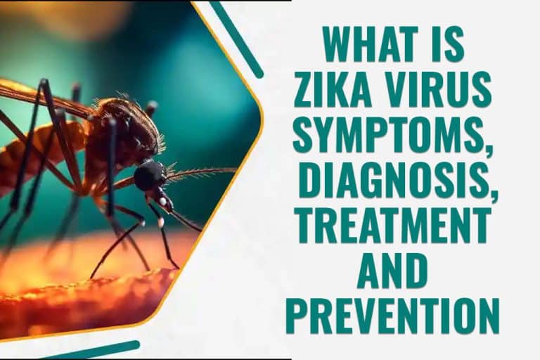 What Is Zika Virus: Symptoms, Diagnosis, Treatment, And Prevention
